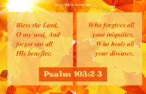 Daily Prayer - Psalm 103:14 | Daily Bible Verse