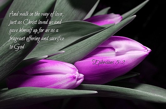 Daily Prayer - Ephesians 5:2 (NASB) | Daily Bible Verse