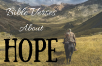 Daily Bible Verse | Hope | Proverbs 23:18 (ESV)