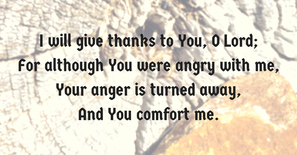 Daily Bible Verse | Comfort | Isaiah 12:1 (NASB)