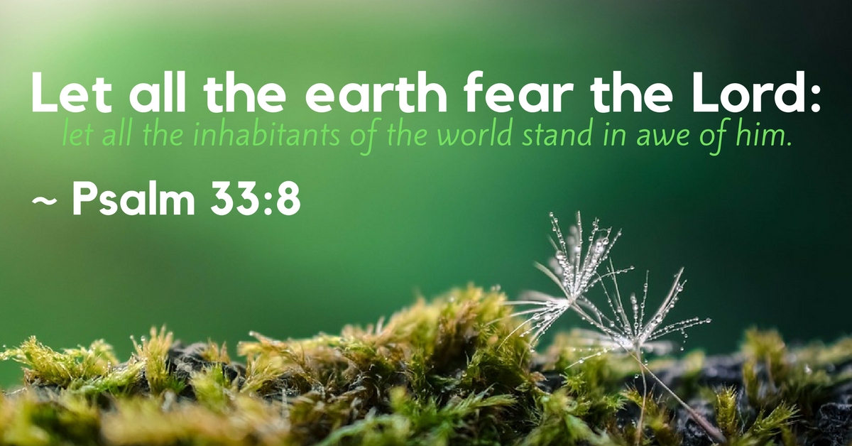 Daily Bible Verse Daily Devotions Psalm 33 8 Daily Bible Verse Daily Devotions Psalm 33 8