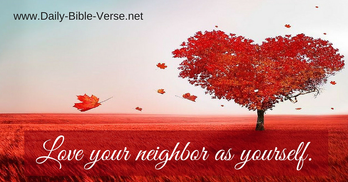 Daily Bible Verse Love Romans 13 9 Daily Bible Verse Love Romans 13 9