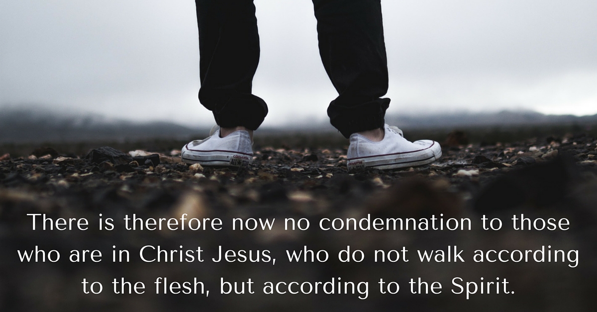 Daily Bible Verse Freedom Romans 8 1 NKJV Daily Bible Verse Freedom Romans 8 1 NKJV