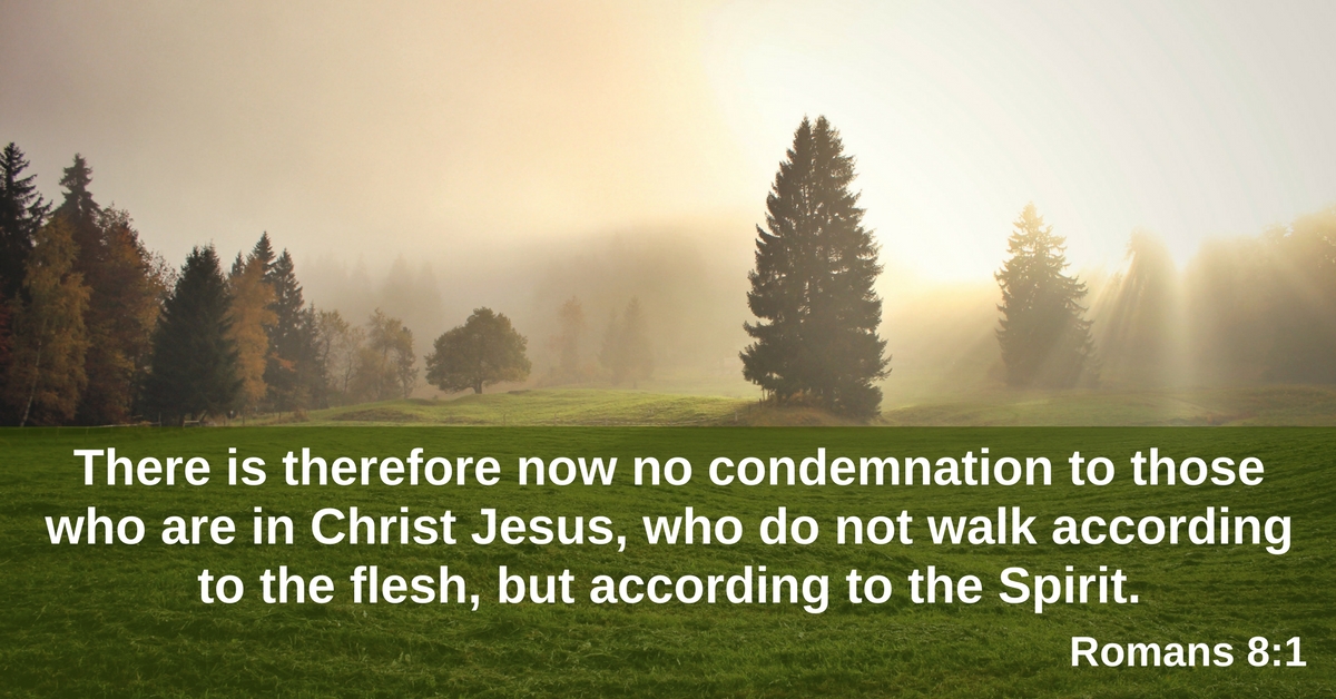 Daily Bible Verse Freedom Romans 8 1 NKJV Daily Bible Verse Freedom Romans 8 1 NKJV