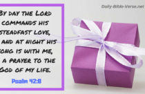 Daily Bible Verse | Hope | Proverbs 23:18 (ESV)