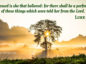 Daily Bible Verse | Hope | Proverbs 23:18 (ESV)